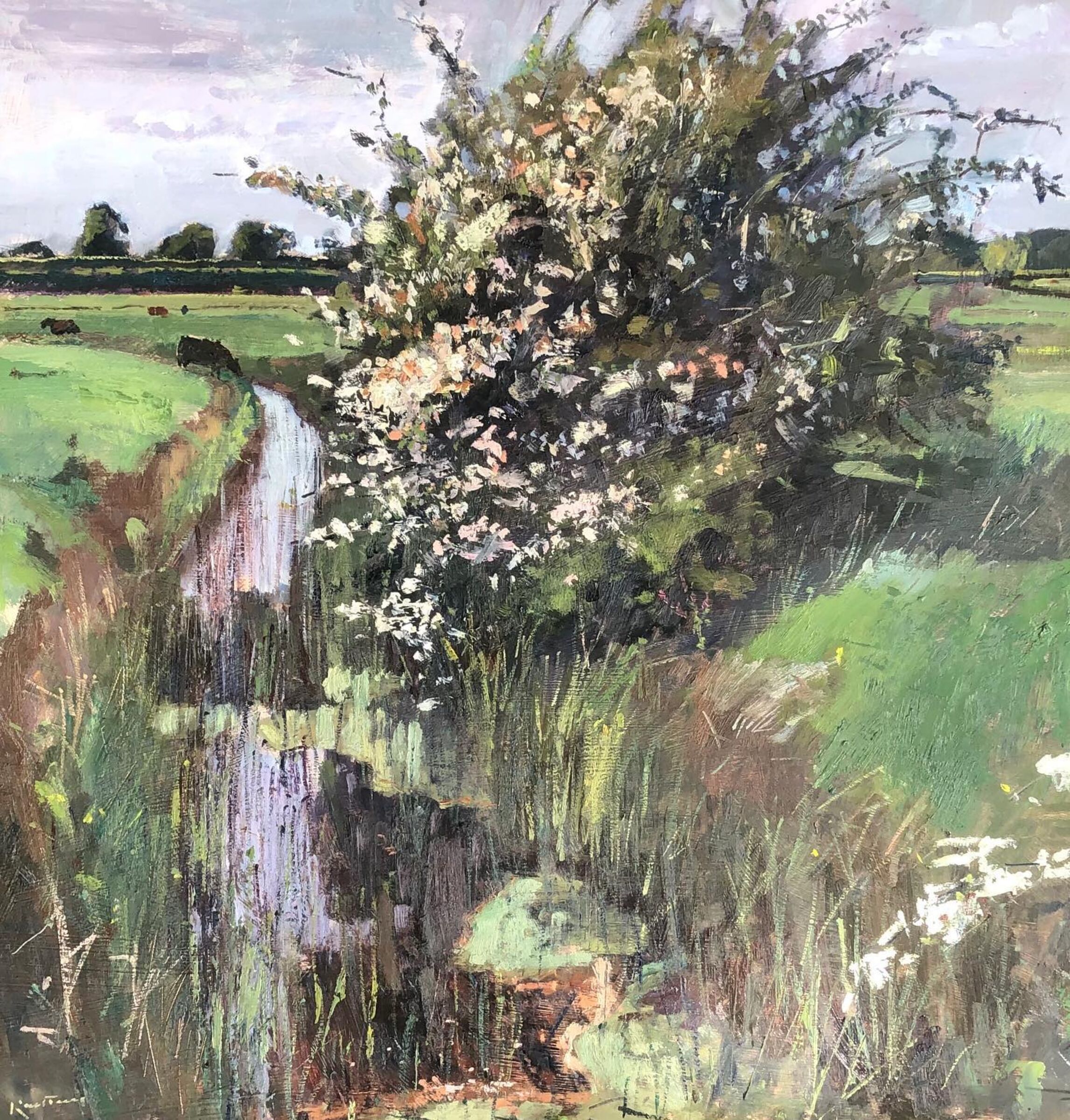 Hawthorn Blossom - oil on board