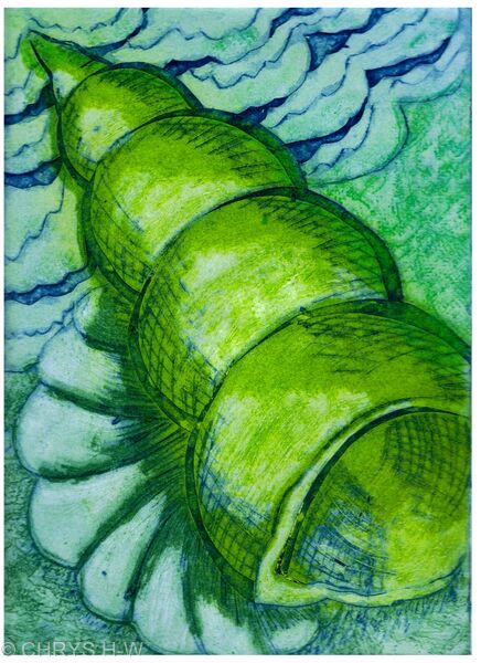 SPIRAL SHELL - COLLOGRAPH PRINT