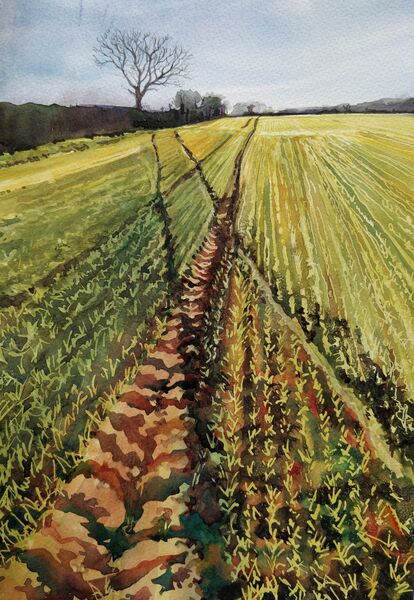 Watercolour