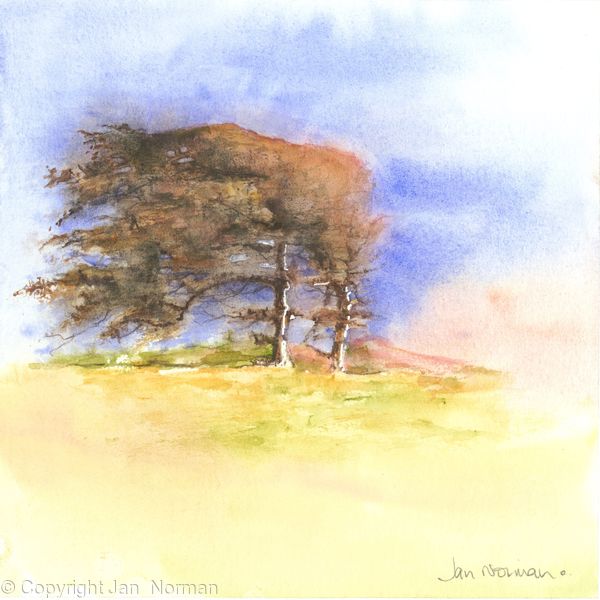 Windblown Trees at Beachy Head - Watercolour