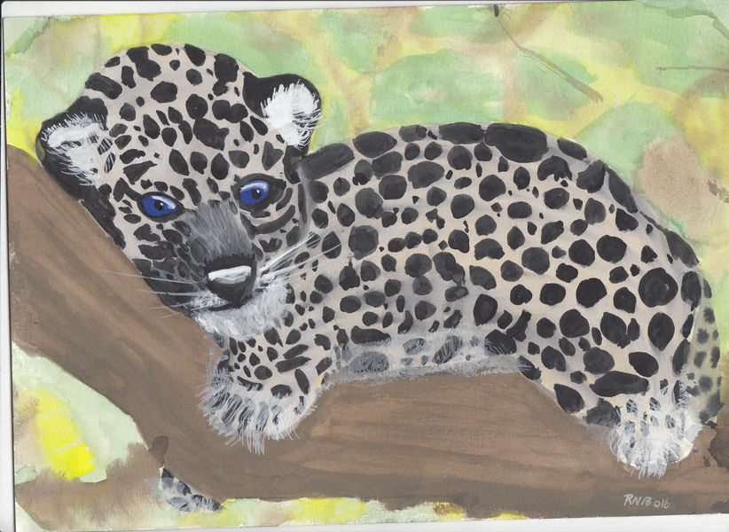 Baby Leopard up a Tree - Watercolour
