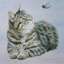 Marie Curran - cat art, paintings, drawings, tiger