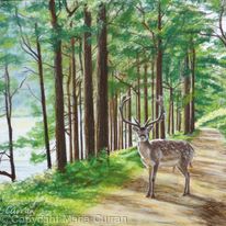 Marie Curran - cat art, paintings, drawings, tiger
