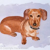 Marie Curran - cat art, paintings, drawings, tiger