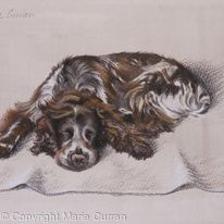 Marie Curran - cat art, paintings, drawings, tiger