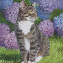 Marie Curran - cat art, paintings, drawings, tiger