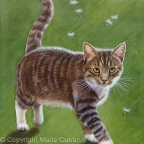 Marie Curran - cat art, paintings, drawings, tiger