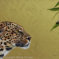 Marie Curran - cat art, paintings, drawings, tiger