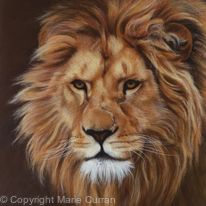 Marie Curran - cat art, paintings, drawings, tiger
