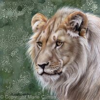 Marie Curran - cat art, paintings, drawings, tiger