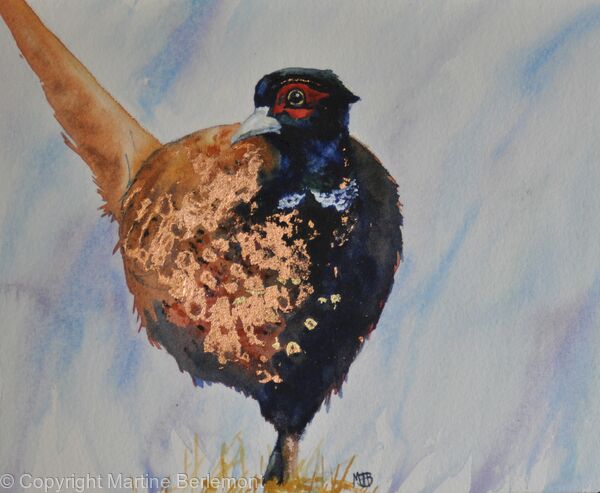 Pheasant - Watercolour