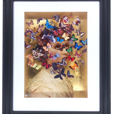 Shop - Shadow Boxes