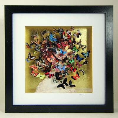 Shop - Shadow Boxes