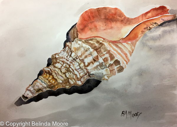 Shell Addiction 1 - watercolor