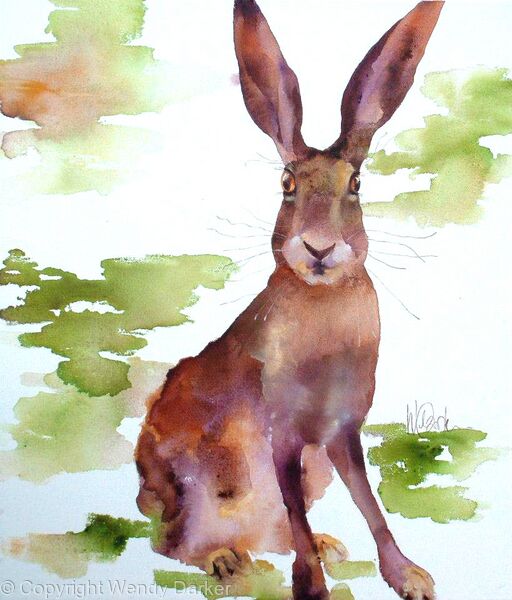 Alert Hare - Limited edition print (40) on box canvas