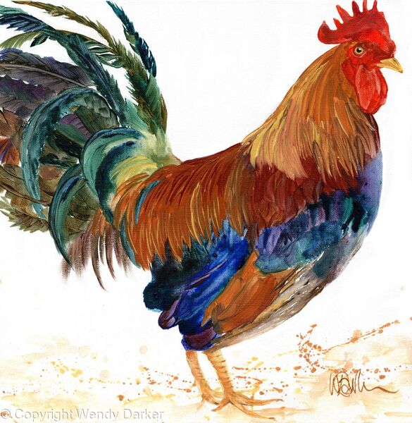 Cockerel - Limited edition print (150) on deep mounted canvas