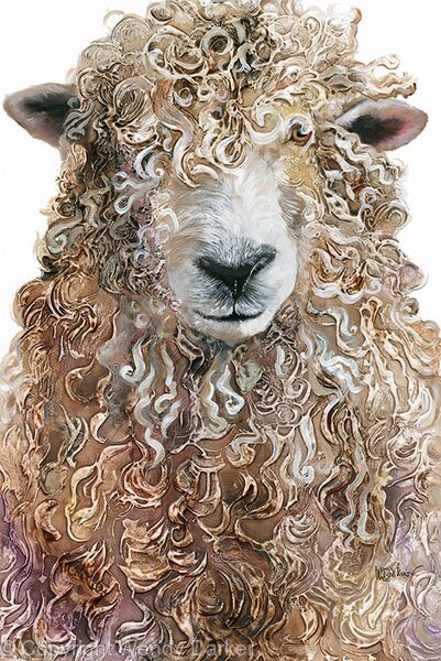 Devon and Cornwall Longwool - Limited edition (150) box canvas print