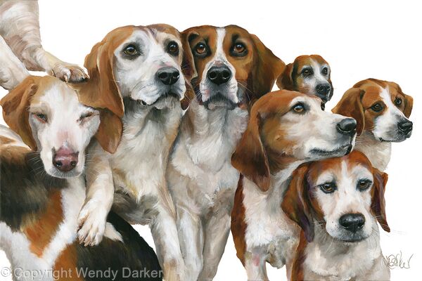 Beagle pack - limited edition (150) box canvas print