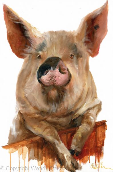 Proud to be a Pig - Limited edition print (150) box canvas print