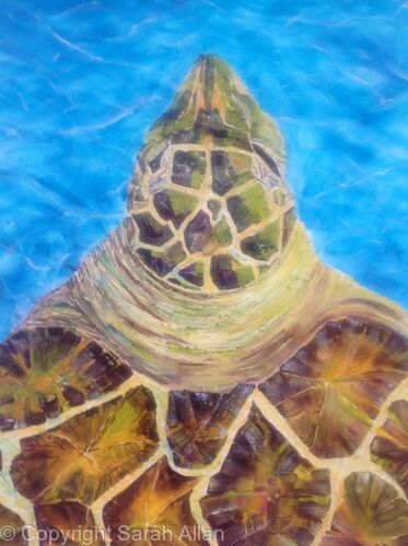 Mixed Media Turtle Artwork
