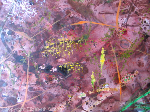 Study for Moss 1 - Mixed media on paper