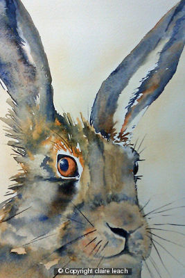 March Hare - Watercolour
