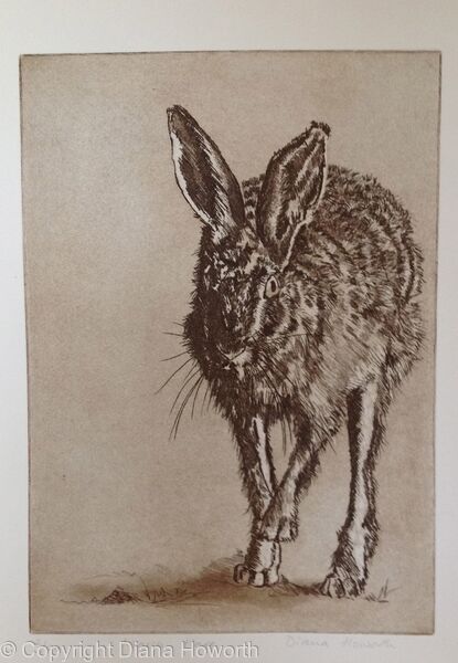 March Hare - Soft ground aquatint