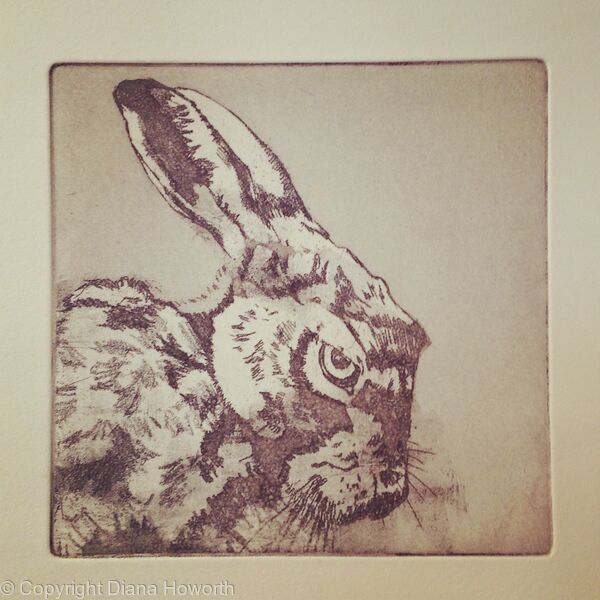 Hare II - Soft ground etching