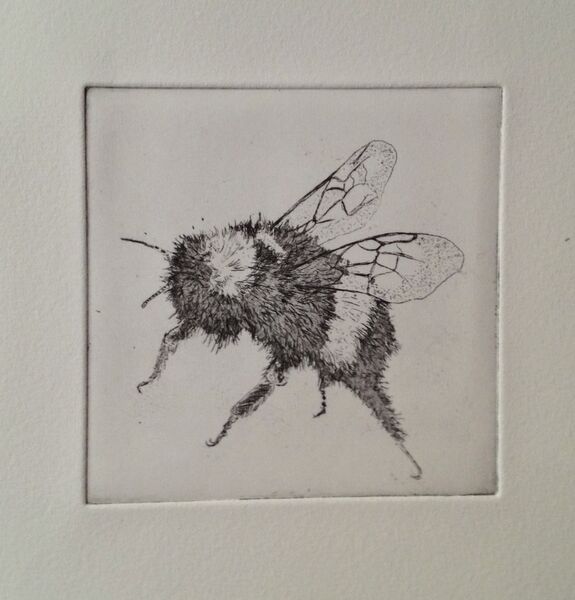 Bumble Bee - etching