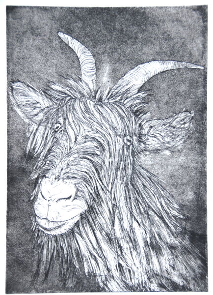 etching animals