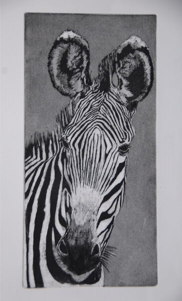etching animals