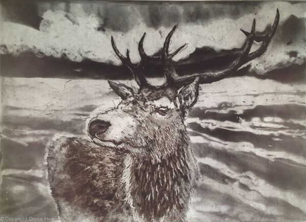 British Wildlife - etchings