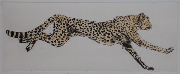 etching animals