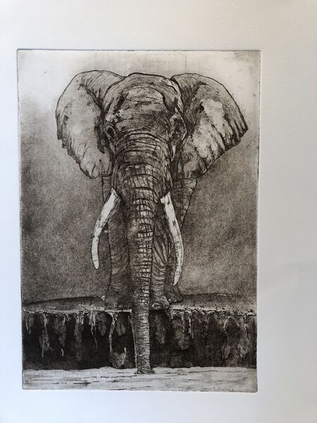 etching animals