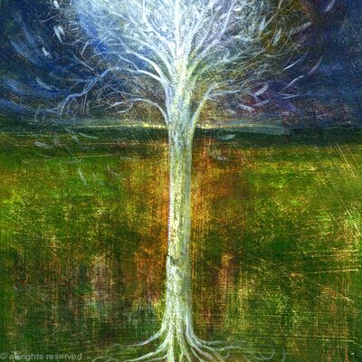 Trees~Limited edition prints