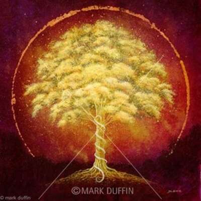 Trees~Limited edition prints