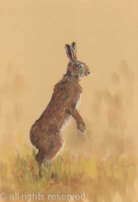 March Hare - pastel