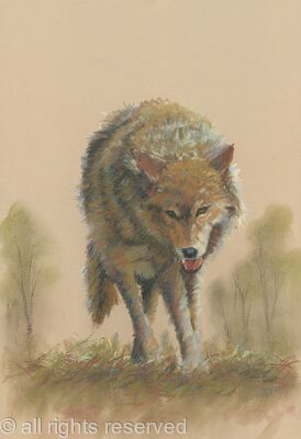 wolf - pastel