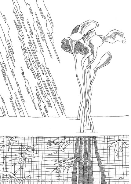 Wonders of Nature 4 - The Memory of Cloud Formation