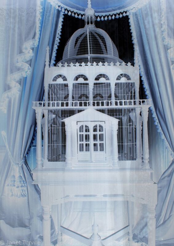 2010. Darklight, Skylight: A Rare Collection of Shadows, Forms and ...