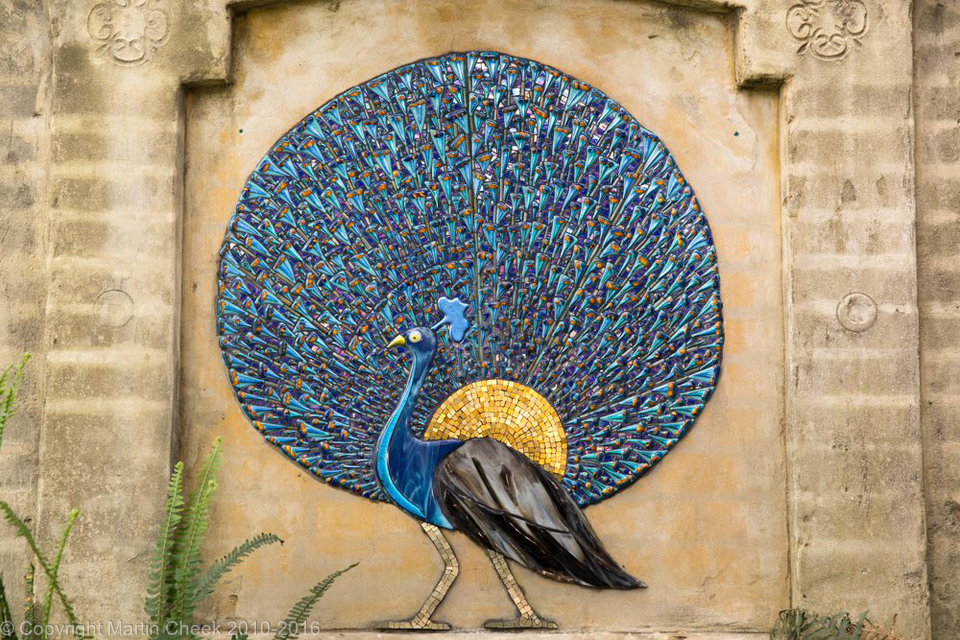 Strut Your Fluff - Mosaic and Fusions