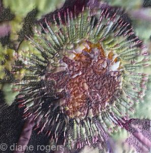 Marine Rock Pool - Hand painted,quilted,embroidered silk textile