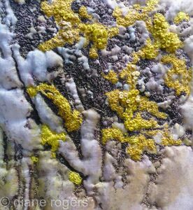 Lichen Moss and Fungi Hoop - Hand painted quilted silk applique , wool ...