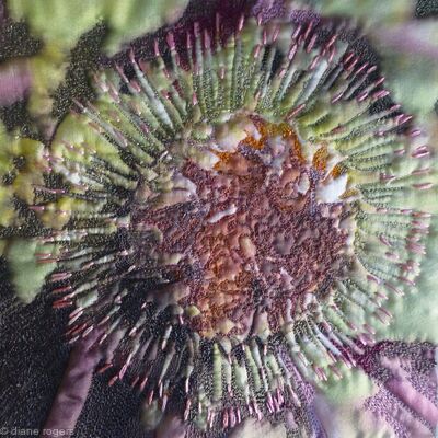 Diane Rogers -UK Brighton Contemporary Textile Artist