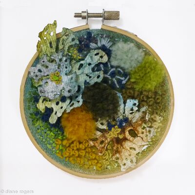 Embroidered Hoops of lichen and coral landscapes