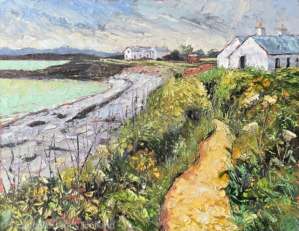 Paintings of Anglesey from the palette knife of artist Jenny Holland