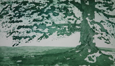 Cedar shadow - etching and aquatint