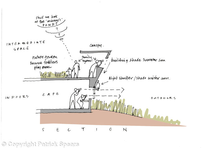 Birds nest concept section coloured
