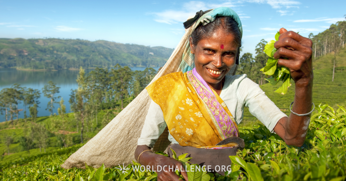 Tea for Freedom | worldchallenge.org