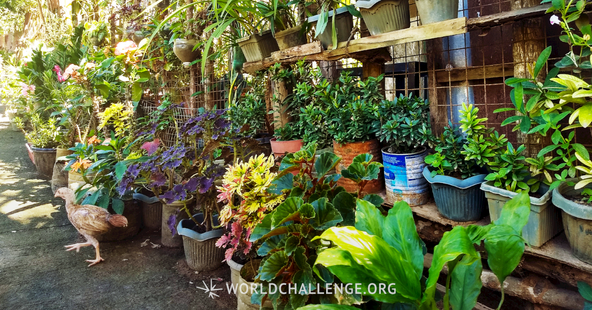 A Strong Right Arm | worldchallenge.org